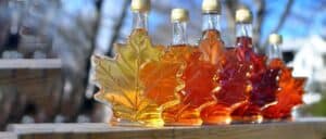 Is Maple Syrup Vegan? Your 2022 Complete Guide