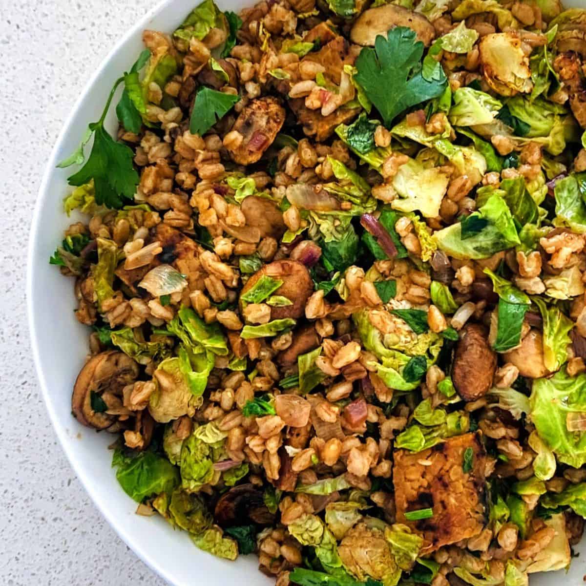 Italian Farro | Kathy's Vegan Kitchen