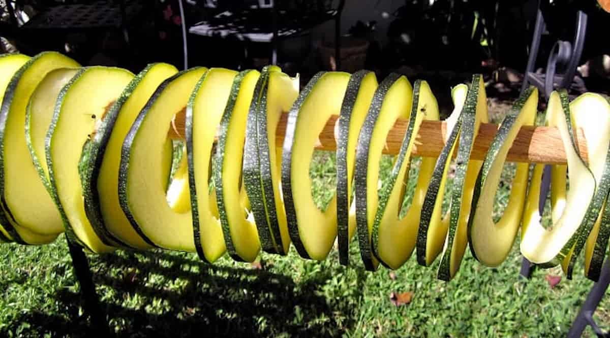 Easy Vegan Zucchini Recipes | Kathy's Vegan Kitchen