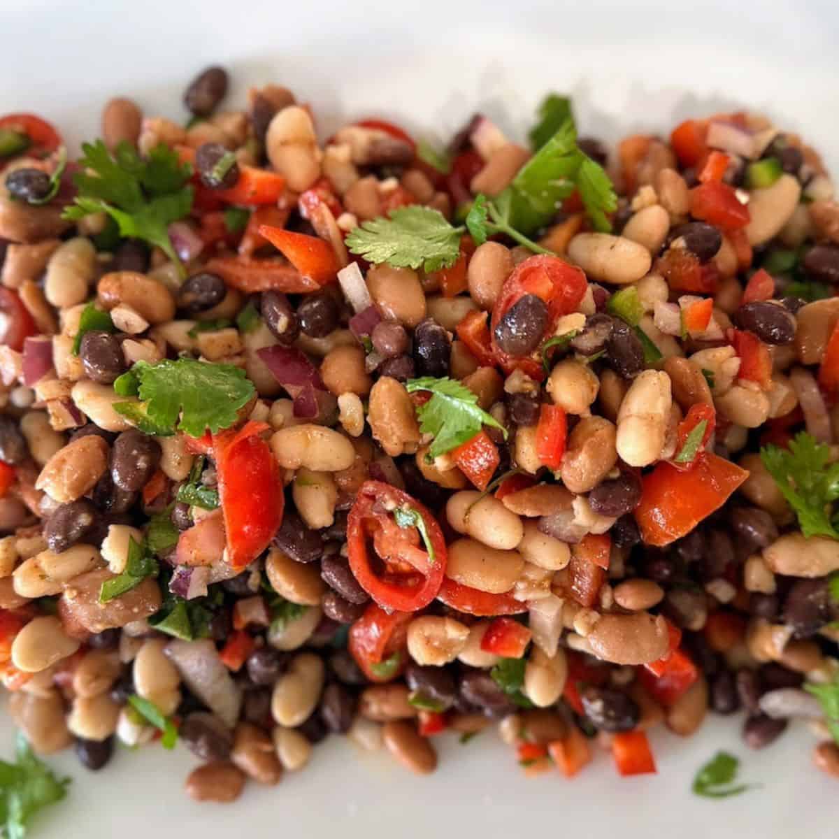 Black Bean Taco Salad | Kathy's Vegan Kitchen